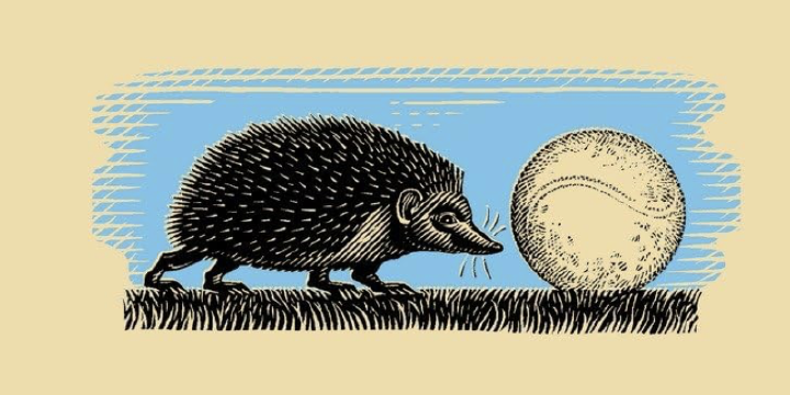 Courses | Bernardo Sousa